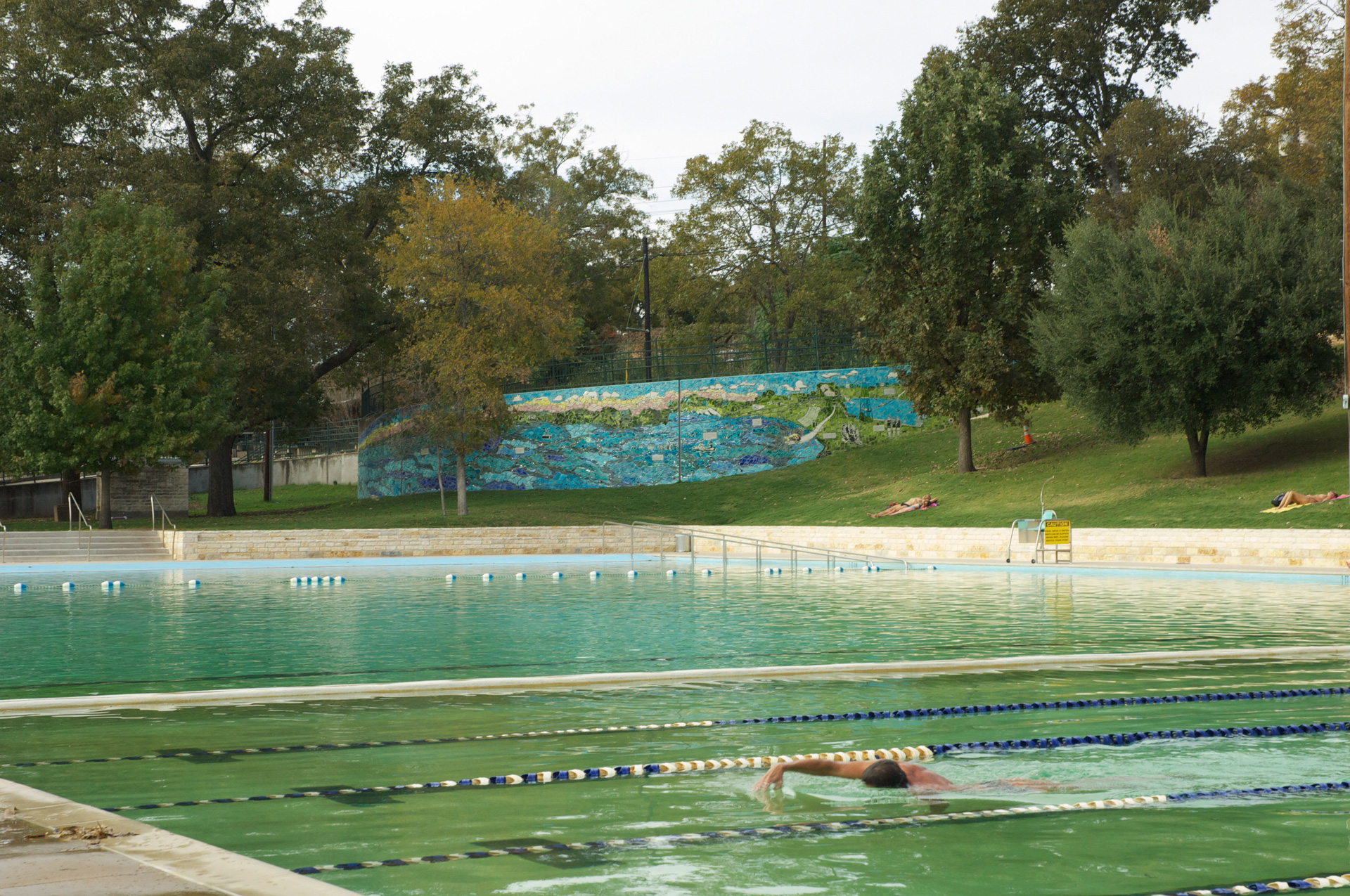 Deep Eddy Mural Project in Austin, TX