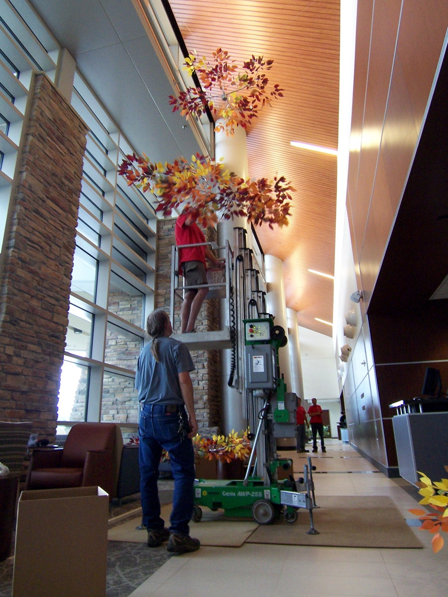 Tree Mobiles in Four Seasons in Castle Rock, CO