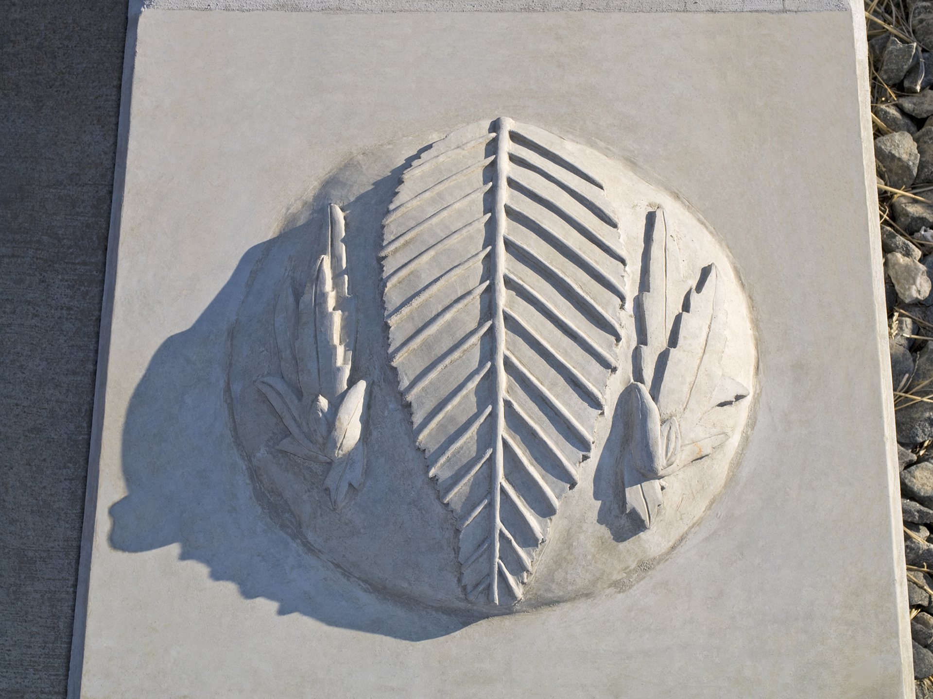 Cheekwall Reliefs in Charlotte, NC