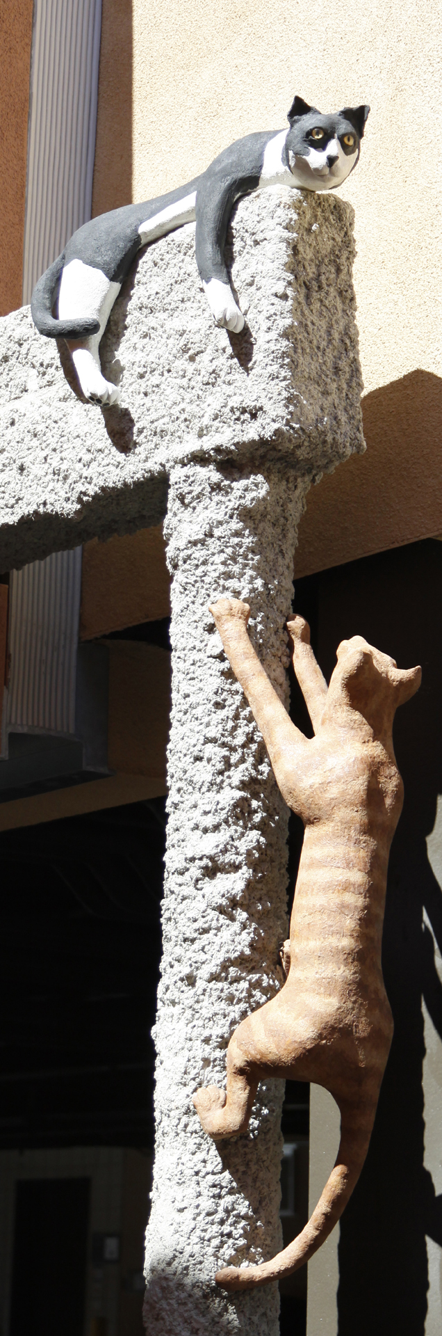 Cats on Post and Beam in Burlingame, CA