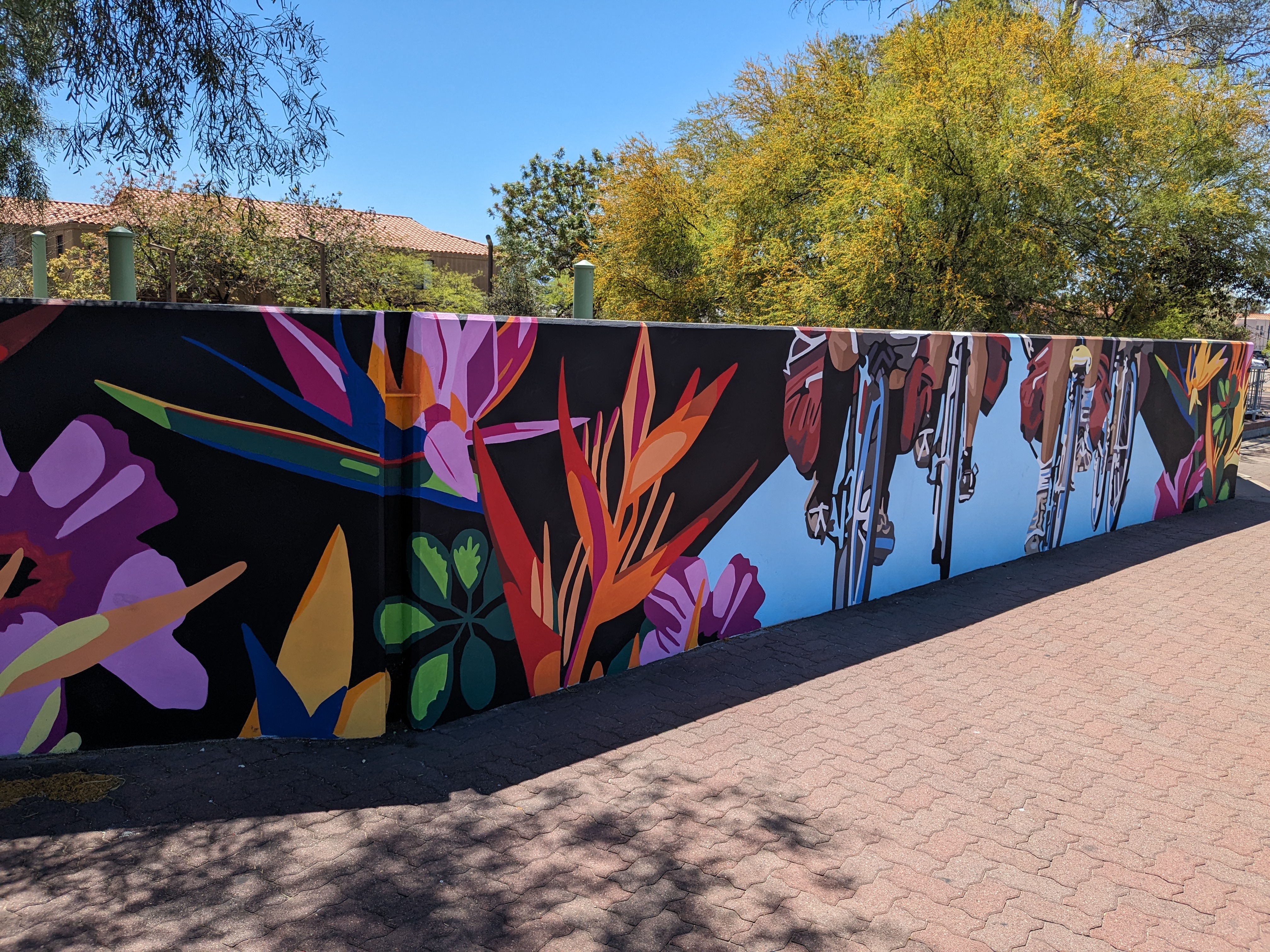 Speedway Corridor Project: Allison Miller in Tucson, AZ