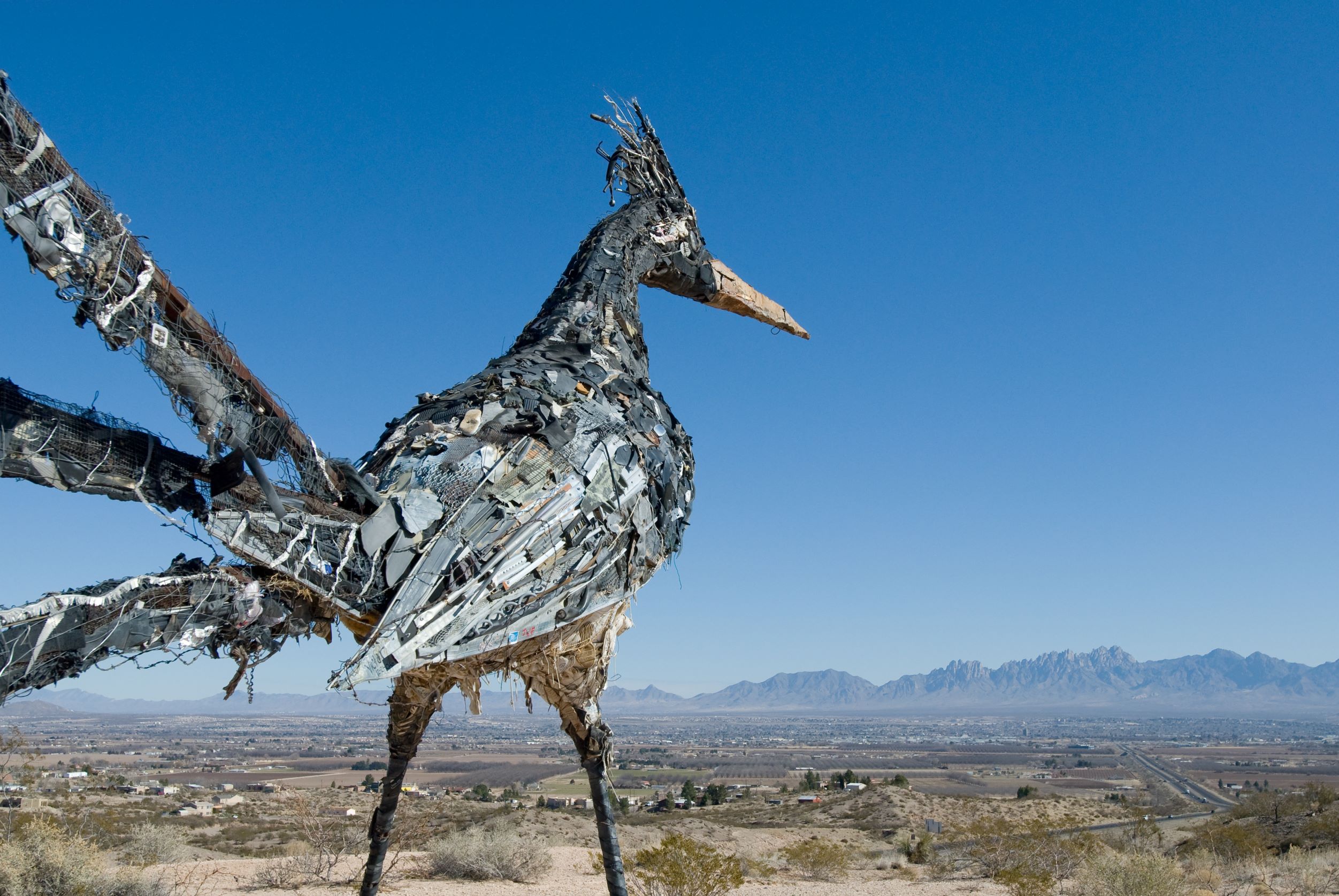 Recycled Roadrunner in Las Cruces, NM