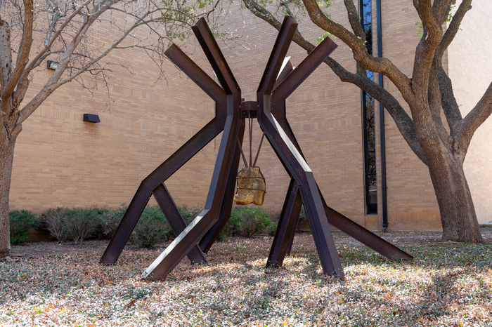 Caged and Confused in Denton, TX