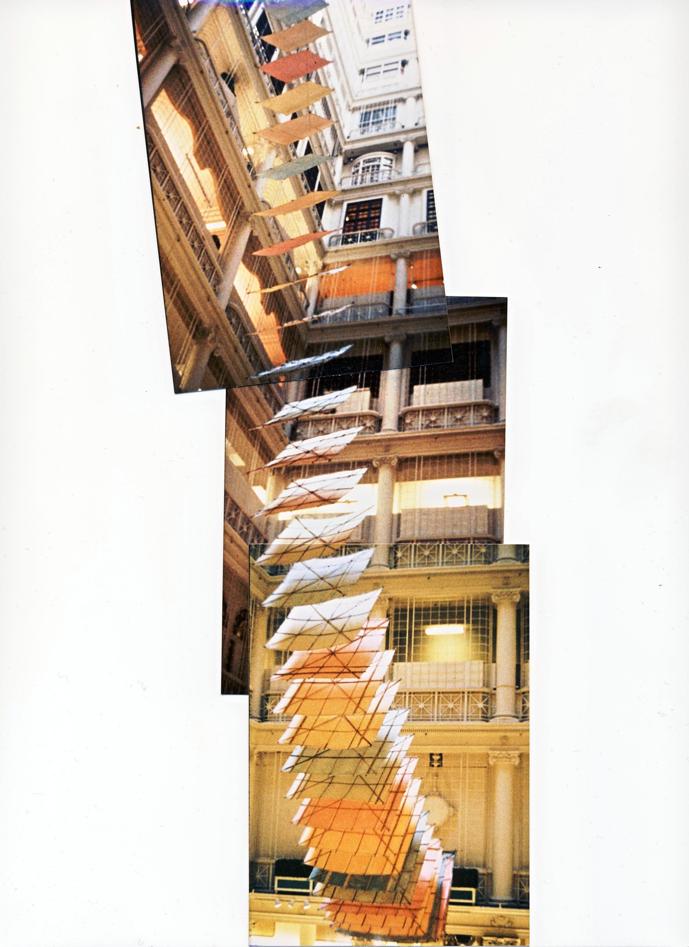 Segmented Kite in Chicago, IL