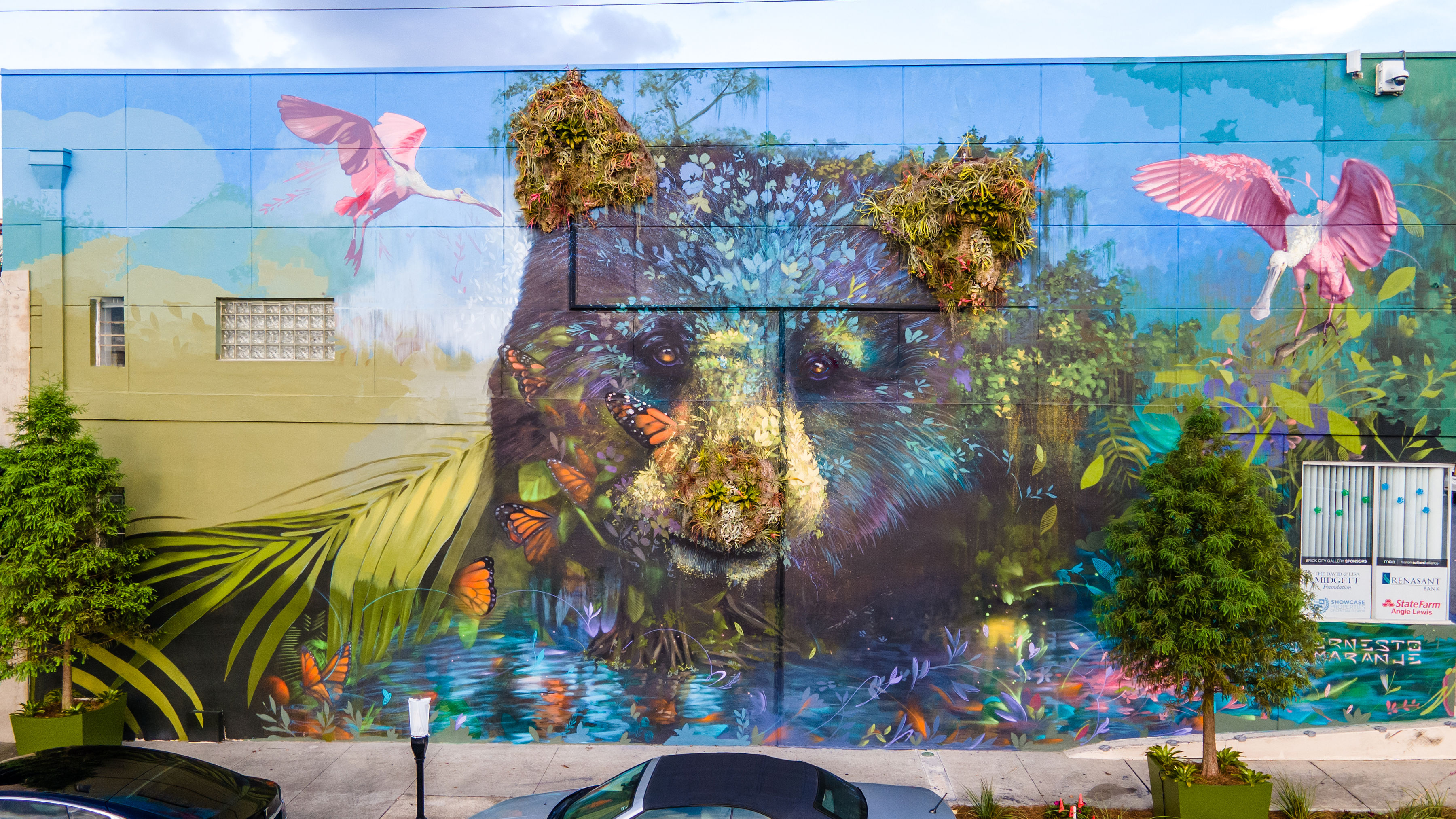 Reflections Through Flora in Ocala, FL