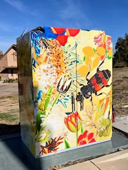 Symbiosis_Good Buddies in Greeley, CO