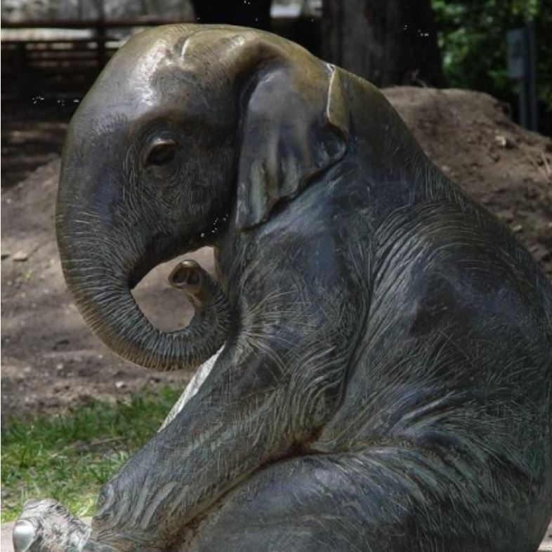 The Elephant’s Child in Dallas, TX