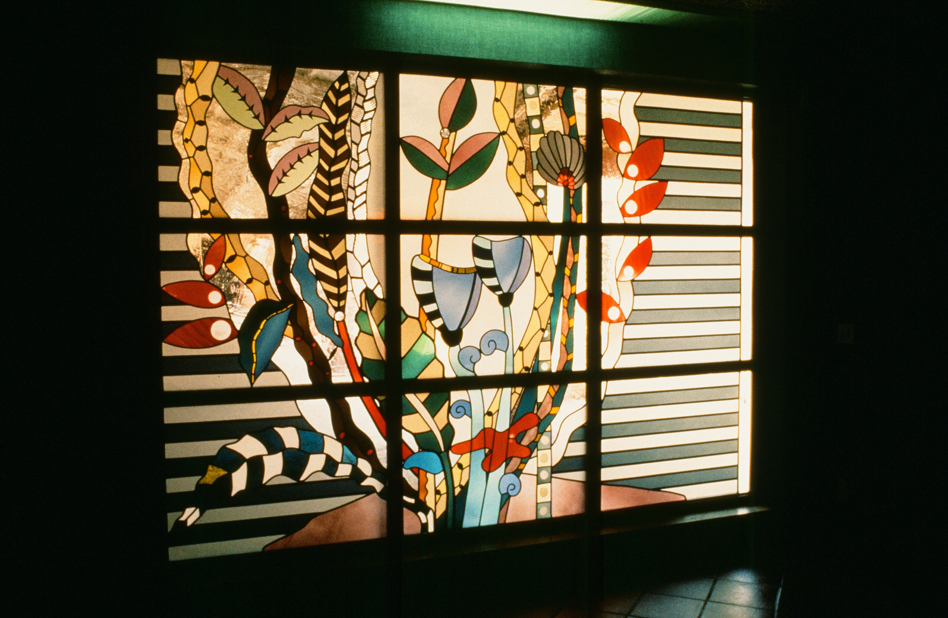 Untitled (window) in Austin, TX