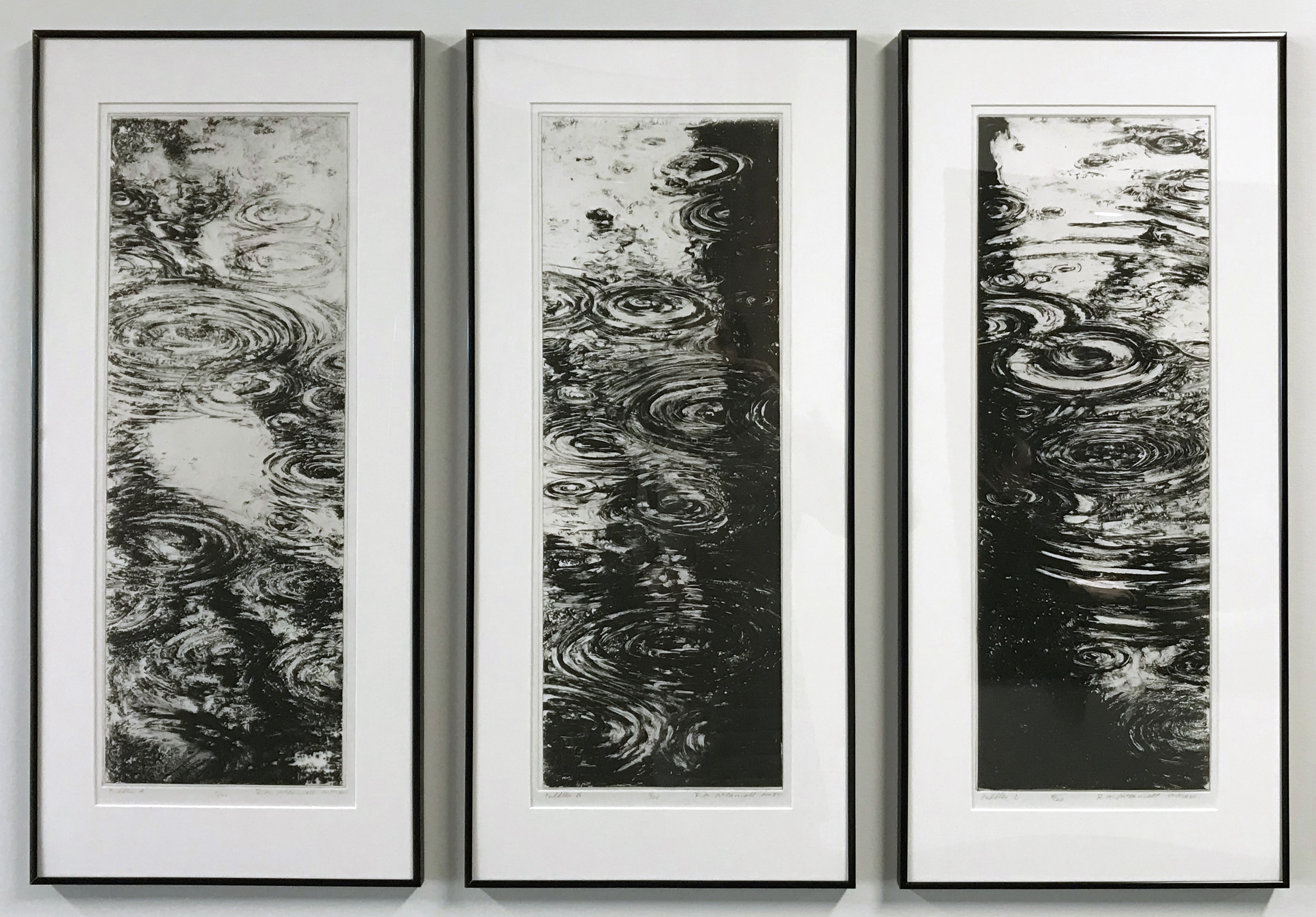 Puddles Triptych in Monmouth, OR