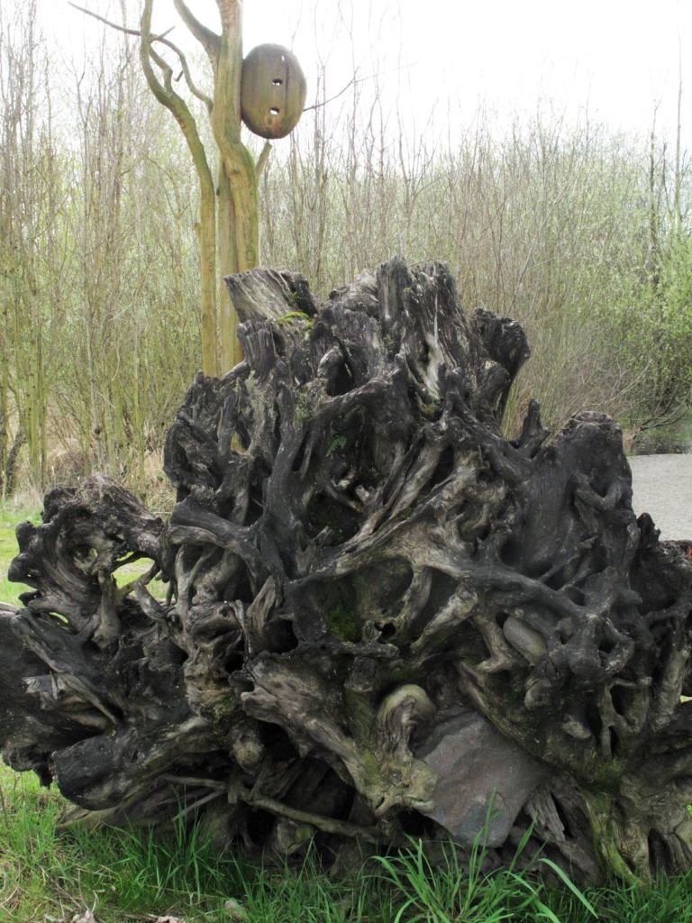 Habitat Reefs from the group Flows and in Portland, OR