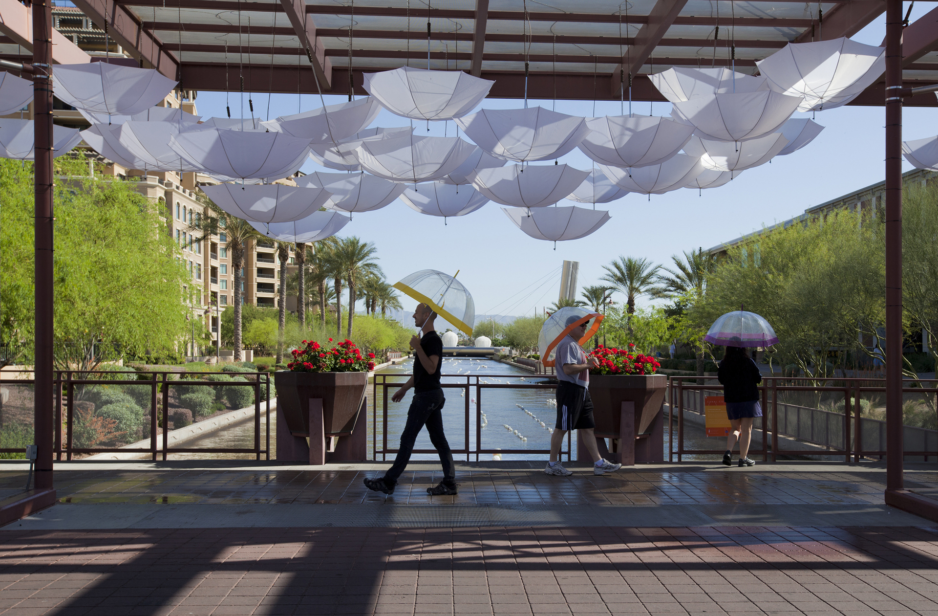 Drip, Dribble, Drop in Scottsdale, AZ