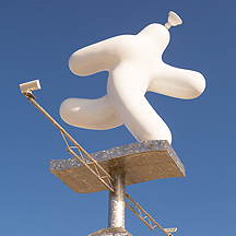 Balloon Man Running in Denver, CO