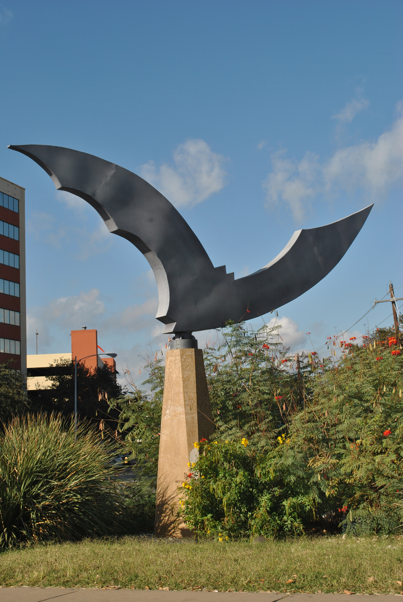 Nightwing in Austin, TX