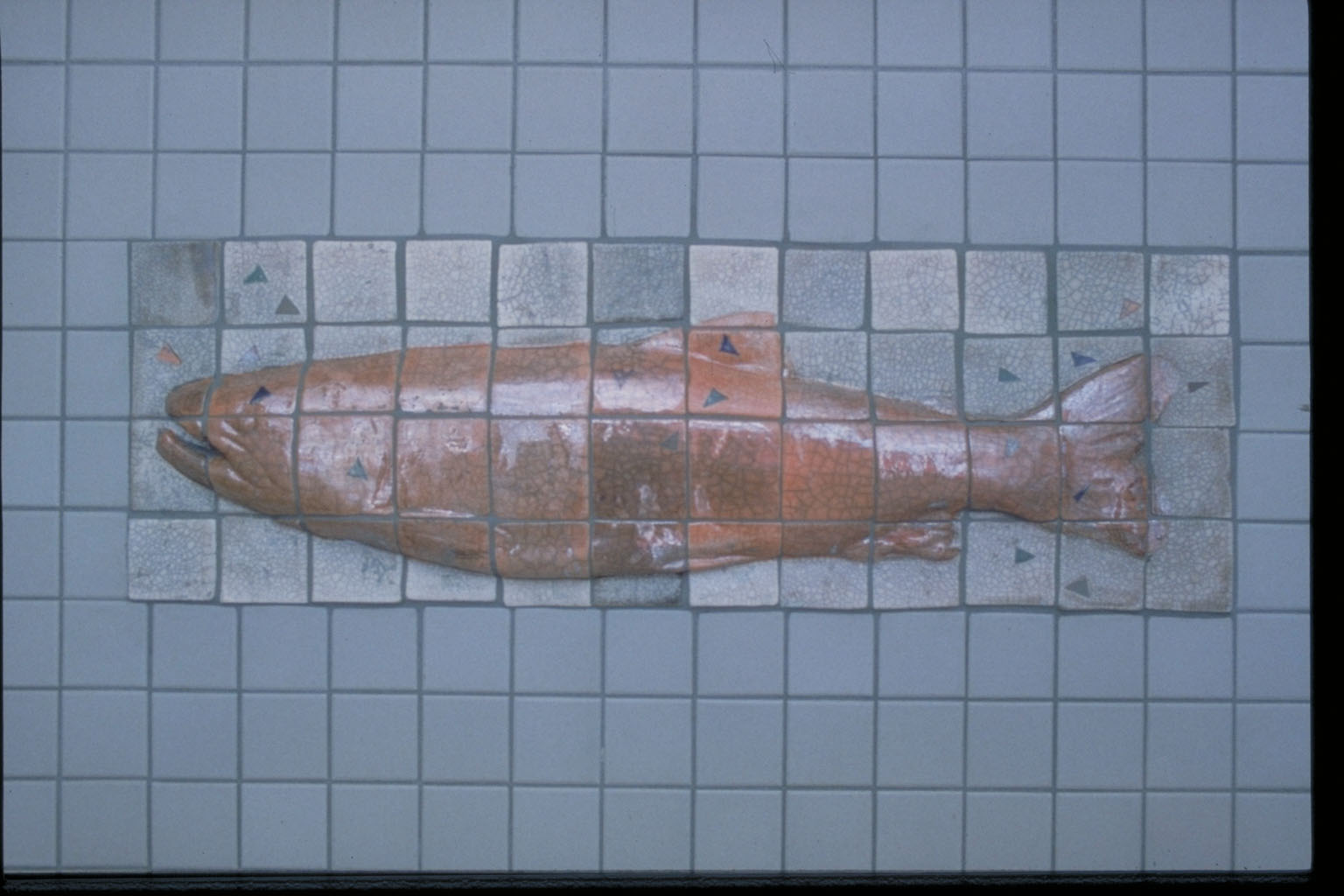 Salmon in Seattle, WA